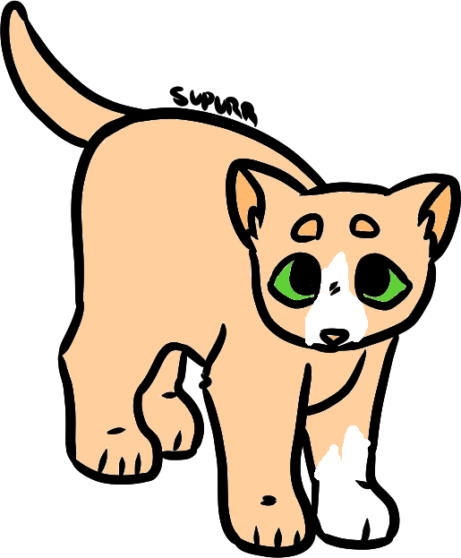 SummerWing (SSA) | Warrior Cats Fandom Wiki | Fandom