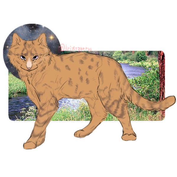 Sootblaze (SSfm) | Warrior Cats Fandom Wiki | Fandom