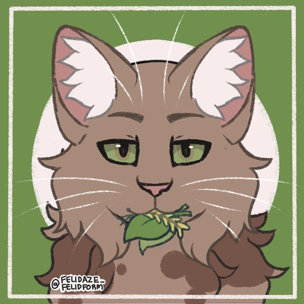 Featherclaw | Warrior Cats Fandom Wiki | Fandom