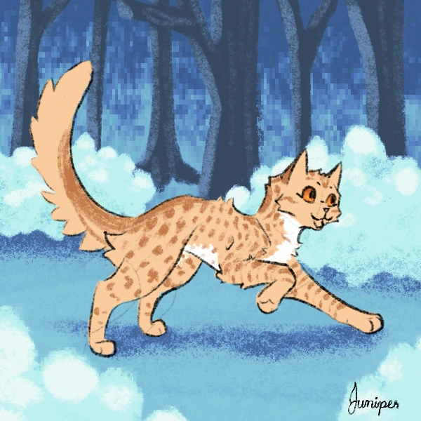 Nettlelight (DSxBF) | Warrior Cats Fandom Wiki | Fandom
