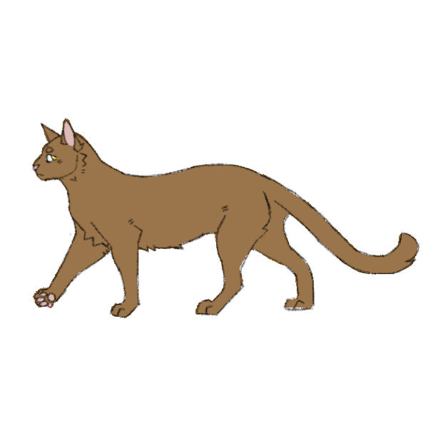 Stem (Nm) | Warrior Cats Fandom Wiki | Fandom
