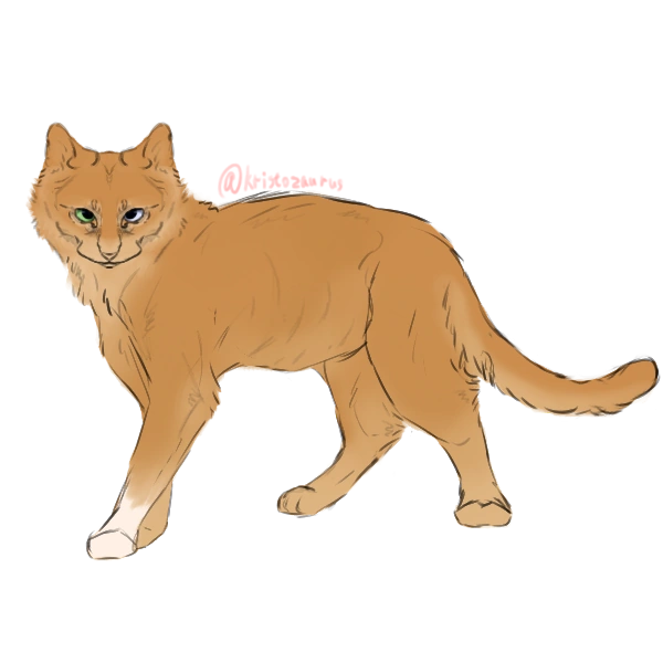 NightCrystal (Lh) | Warrior Cats Fandom Wiki | Fandom
