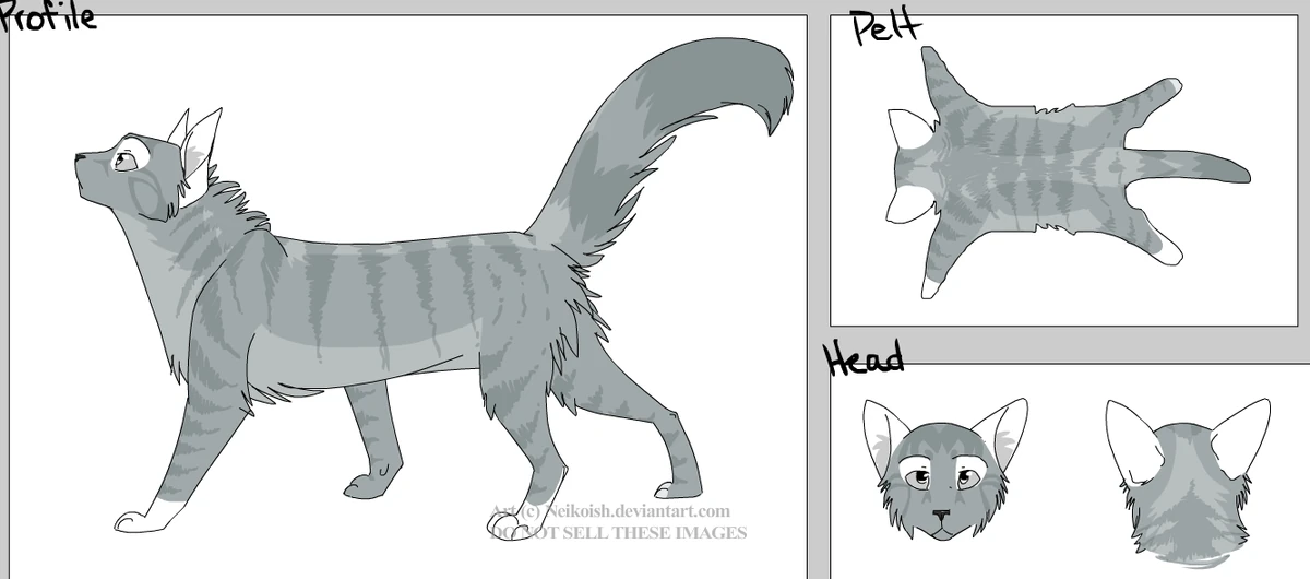 PebbleShine | WarriorCats: WinterClan Wiki | Fandom