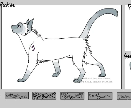 MistyStar | WarriorCats: WinterClan Wiki | Fandom
