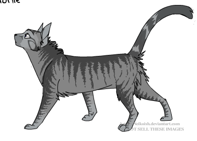 FallowWing | WarriorCats: WinterClan Wiki | Fandom