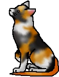Redtail | Warrior cats Wiki | Fandom