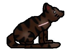 Brambleclaw | Warrior Cats Art Wiki | Fandom