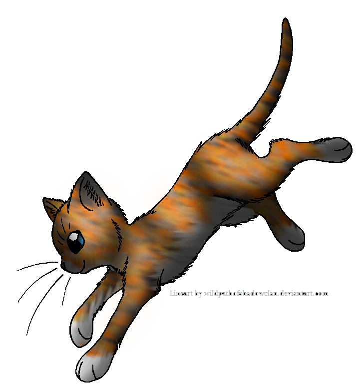 Fernshade | Warrior Cats Central Wiki | Fandom
