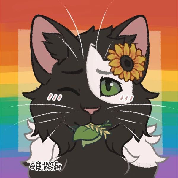 Shadowpaw | Warrior cats fandom Wiki | Fandom