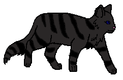 Ashpaw | Warrior Cats Forever Wiki | Fandom