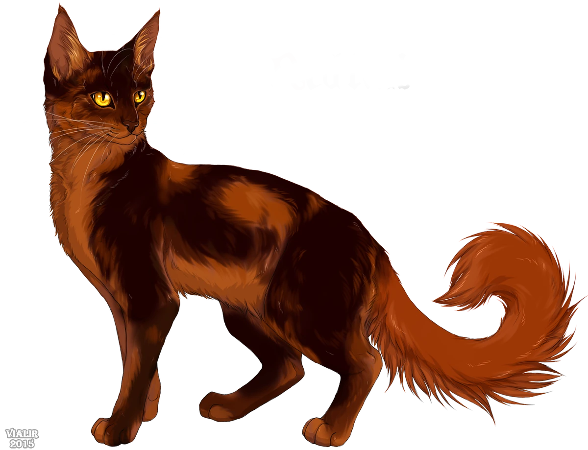 Redtail | WarriorCatsHarryPotterPercyJacksonLovers Wiki | Fandom