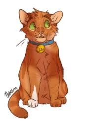 Jake | WarriorCatsHarryPotterPercyJacksonLovers Wiki | Fandom