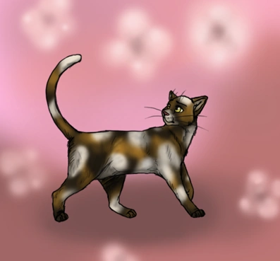 Blossomfall Reveals her Secret | The warriorcat's life Wiki | Fandom