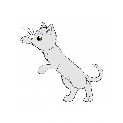 Cloudstar | The warriorcat's life Wiki | Fandom