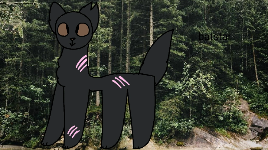 Batstar | WarriorCatsPathToStarlight Wiki | Fandom