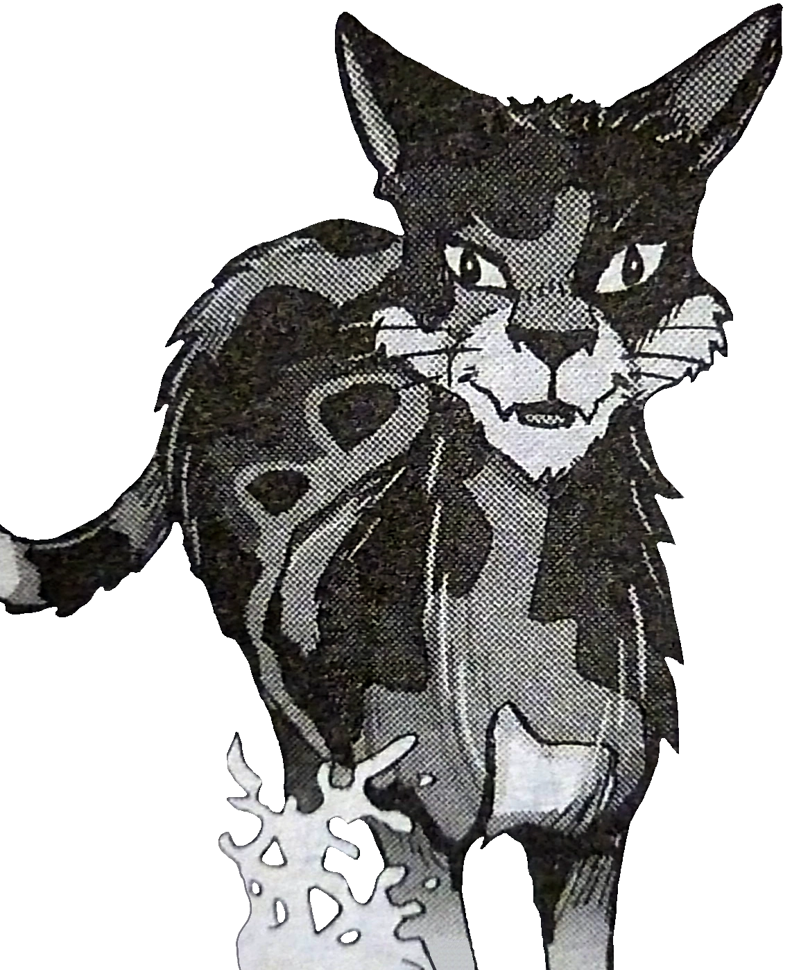 Mapleshade | WarriorCatsPathToStarlight Wiki | Fandom