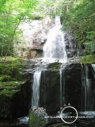 Ancient Tribe of rushing water | Warrior cats rolepaly Wiki | Fandom