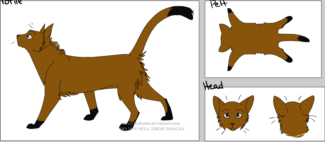 Swipekit | Warrior_Cats_Roleplaying_Fandom Wiki | Fandom