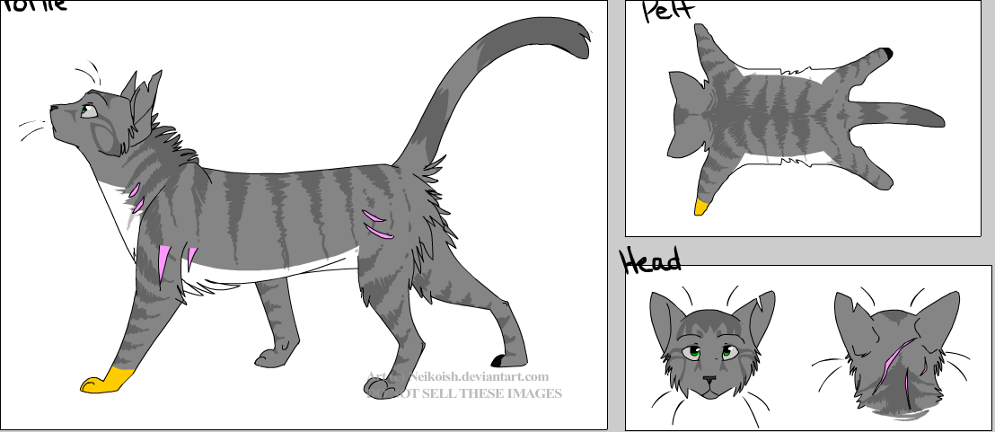 Sorrelbreeze | Warrior_Cats_Roleplaying_Fandom Wiki | Fandom