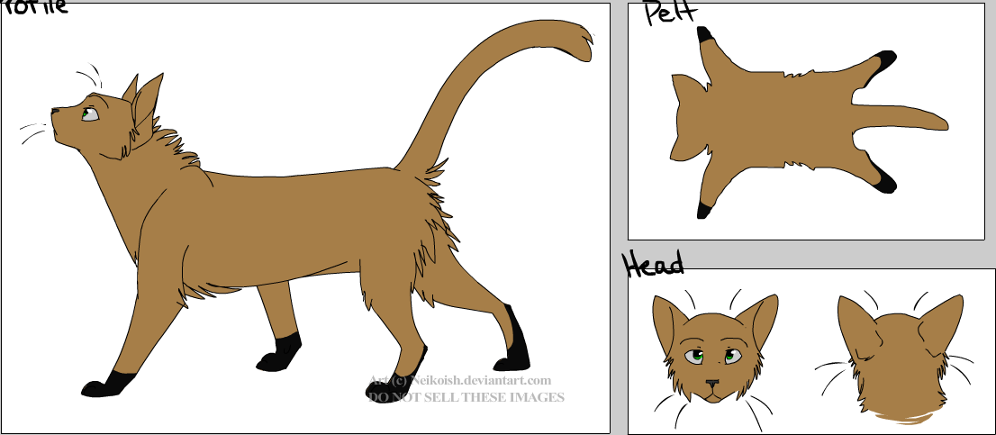 Fawnheart | Warrior_Cats_Roleplaying_Fandom Wiki | Fandom