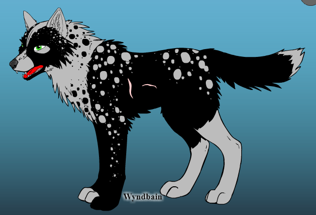 Splinter | Warrior_Cats_Roleplaying_Fandom Wiki | Fandom