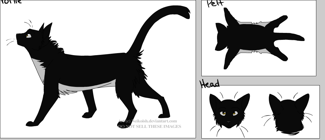 Mousepaw | Warrior_Cats_Roleplaying_Fandom Wiki | Fandom