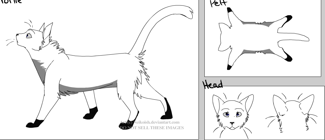 Cinderkit | Warrior_Cats_Roleplaying_Fandom Wiki | Fandom