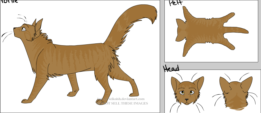 Bramblekit | Warrior_Cats_Roleplaying_Fandom Wiki | Fandom