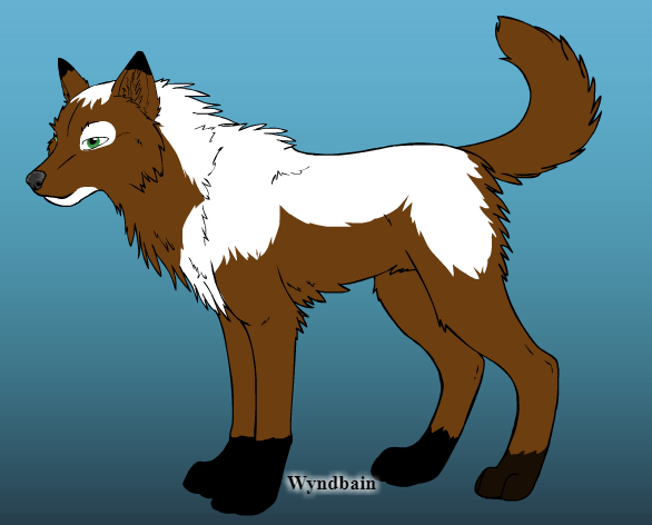 Hawk | Warrior_Cats_Roleplaying_Fandom Wiki | Fandom