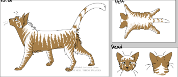 Breezepaw | Warrior_Cats_Roleplaying_Fandom Wiki | Fandom