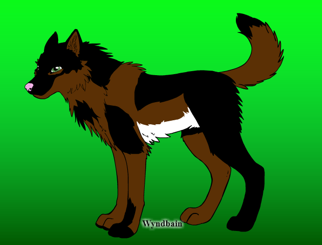 Moose | Warrior_Cats_Roleplaying_Fandom Wiki | Fandom