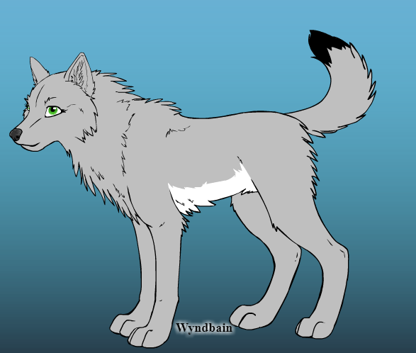 Quail | Warrior_Cats_Roleplaying_Fandom Wiki | Fandom