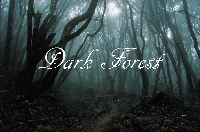 Dark Forest | Warrior Cats - The lost Wiki | Fandom