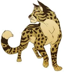 Leopardpelt | Warrior Cats - The lost Wiki | Fandom