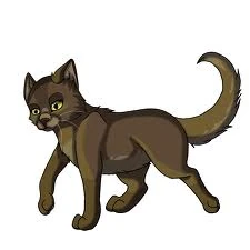 Branchfall | Warrior Cats - The lost Wiki | Fandom