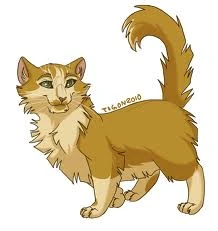 Buster | Warrior Cats - The lost Wiki | Fandom