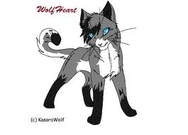 Wolfheart | Warrior Cats - The lost Wiki | Fandom