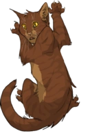 Mudtail | Warrior Cats - The lost Wiki | Fandom