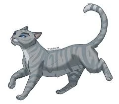 Riverflower | Warrior Cats - The lost Wiki | Fandom
