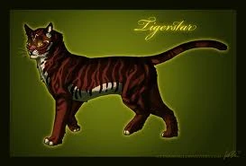 Tigerstar | Warrior Cats - The lost Wiki | Fandom