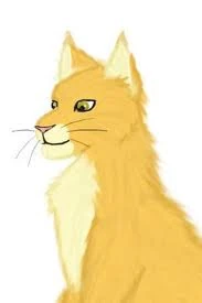 Lionspirit | Warrior Cats - The lost Wiki | Fandom