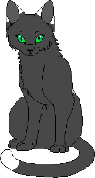 Nighthawk | WarriorCatsWattpadStories Wiki | Fandom