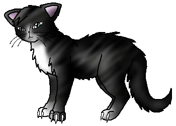 Aecus | Warrior Clan Fanfiction Wiki | Fandom