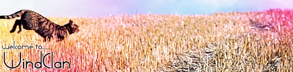 WindClan | Warrior Clan Fanfiction Wiki | Fandom