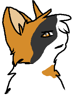 Hollypaw | Warriors Fanfiction Characters Wiki | Fandom