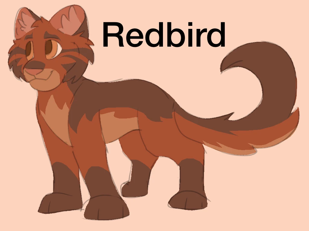 Redbird | Warriors: A New Dawn Wiki | Fandom
