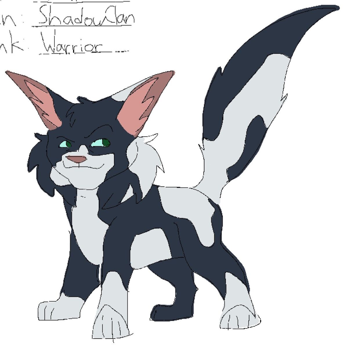 Patchpelt Warriors A New Dawn Wiki Fandom