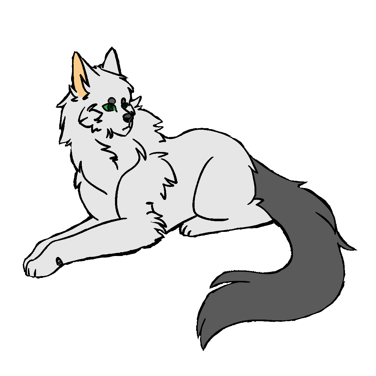 Ashtail | Warriors A New Dawn Wiki | Fandom