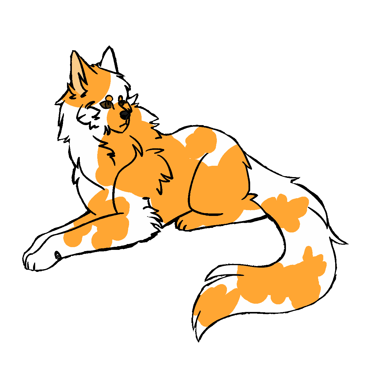 Badgersnow | Warriors A New Dawn Wiki | Fandom