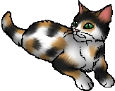 Turtletail | Warriors AU Universe Wiki | Fandom